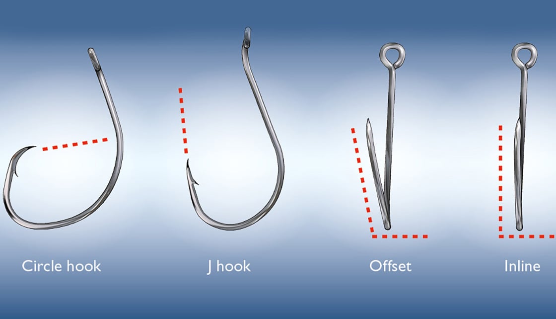 Circle hooks for fishing | Club Marine Australia