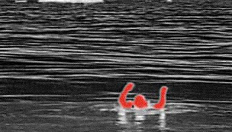 FLIR and radar technology | Club Marine Australia